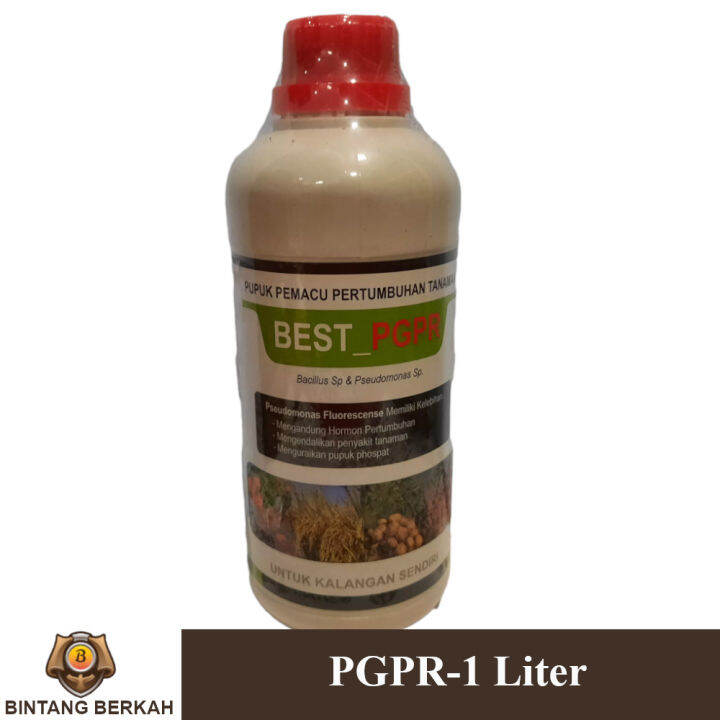 PGPR 1 Liter Pupuk PGPR Cair Pertanian | Lazada Indonesia