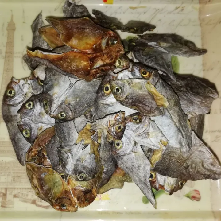 Special DANGIT from CEBU (small bones) 100g | Lazada PH