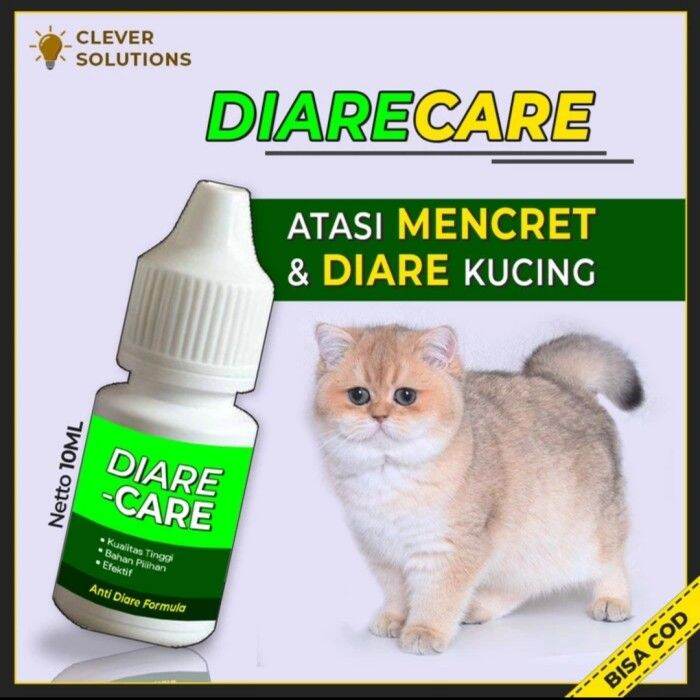 DIARE CARE Obat Diare Kucing Mencret Pup 10 ML | Lazada Indonesia