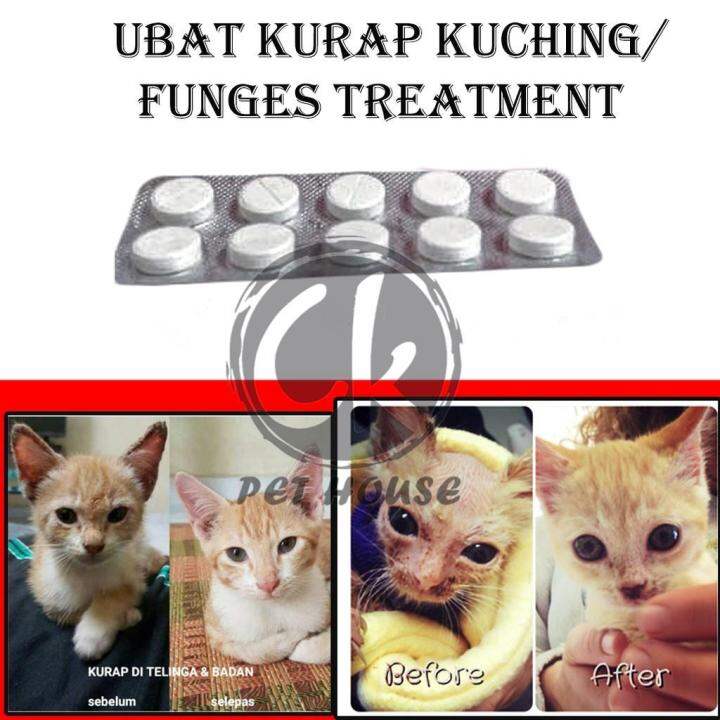 Antifungal Skin Disease Tablet / Ubat Kurap Fungus Kucing/Anjing - 10 ...
