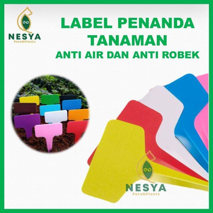 Label Tanaman Penanda Tanaman Name Tag Tanaman Bentuk T Tahan Air dan Anti Robek | Lazada Indonesia