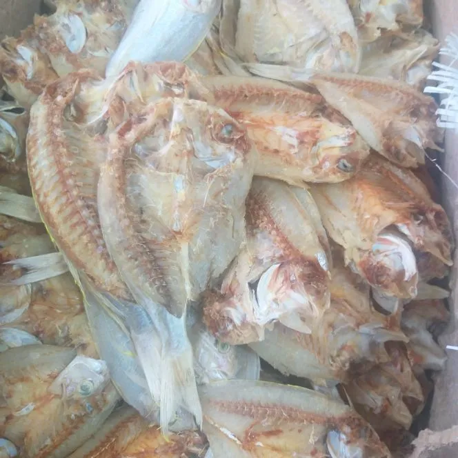 Special sun dried bisugo 1kg | Lazada PH