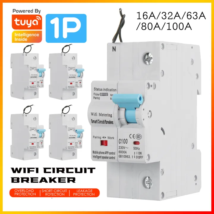 Wifi Smart Switch Circuit Breakers Timer 16A/32A/63A/80A/100A 1Pcs ...