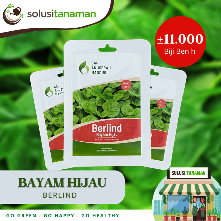 Benih Bayam Hijau Berlind 11.000 Biji Bibit Bayam Hijau Resmi Original ...