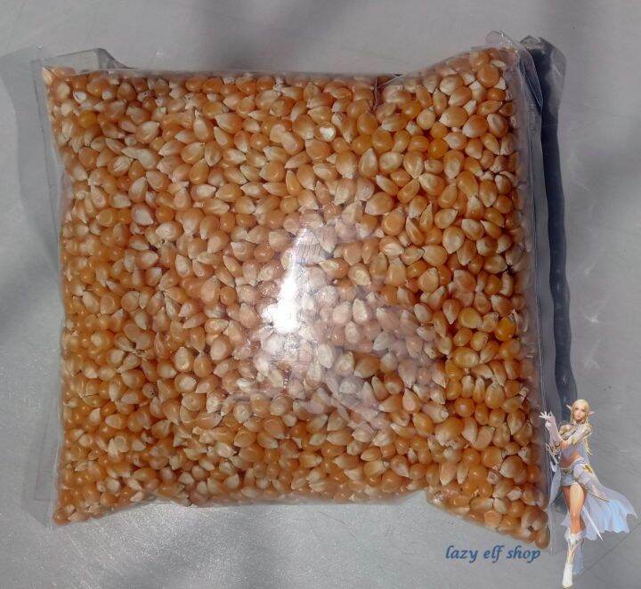 biji jagung popcorn 1kg premium pilihan mentah repack pop corn kernel ...