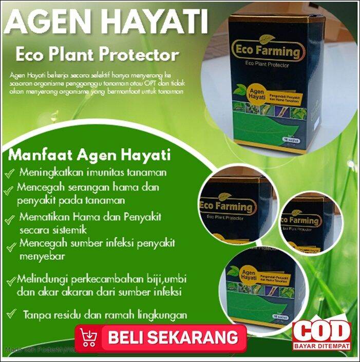 (GARANSI) AGEN HAYATI, ECO PLANT PROTECTOR, ECO FARMING, EKO FARMING, ECO FARMING PEMBASMI HAMA ...