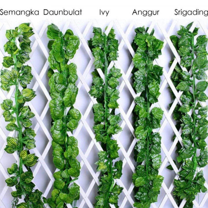 Daun rambat 1METER Dekorasi | Lazada Indonesia