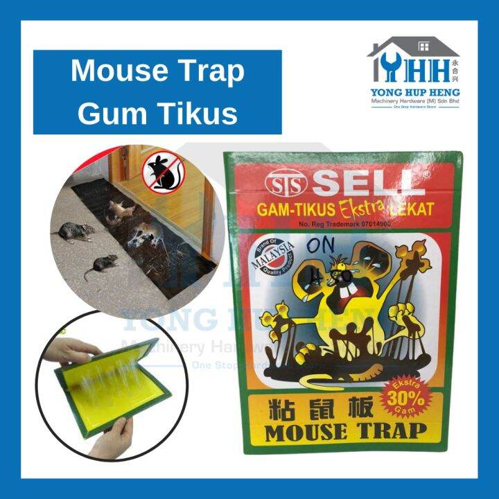 🔥Extra 30%🔥 Pelekat Tikus / Mouse Trap / Gum Tikus 粘鼠板 | Lazada
