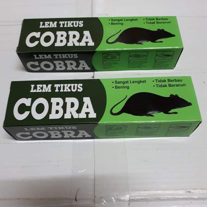 Lem tikus eceran satuan merk cobra | Lazada Indonesia