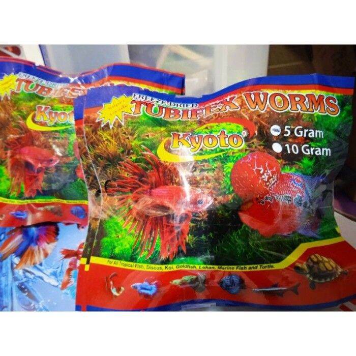 CACING SUTRA KERING/TUBIFEX WORM KYOTO PAKAN IKAN | Lazada Indonesia