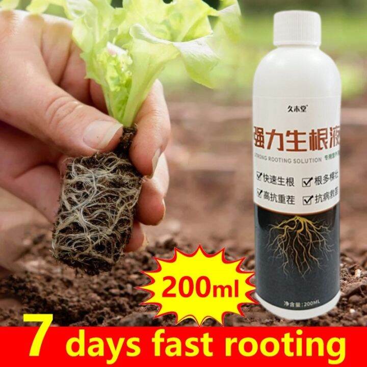 Rooting hormone for cuttings 200g Ultra Rooting powder rapid growth ...