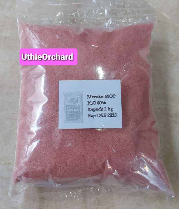 Meroke MOP (MerokeMOP) Pupuk KCl Kemasan Repack 1 kg | Lazada Indonesia