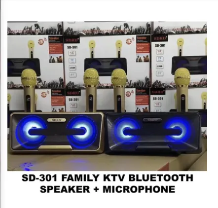 SDRD SD-301 Portable Wireless Bluetooth Speaker with Dual Microphone Karaoke Family KTV Party ...