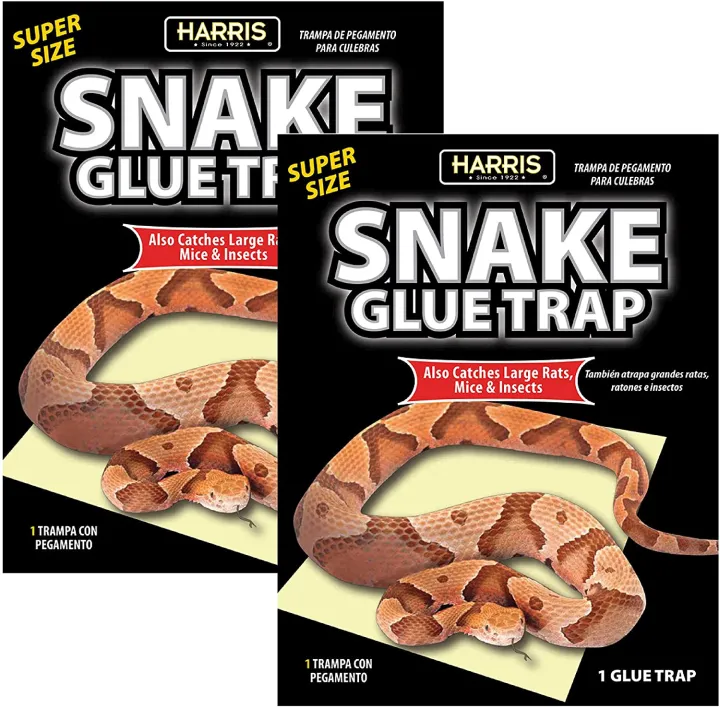 Harris Snake Glue Trap, Super Sized for Snakes also for Rats, Mice(2 ...