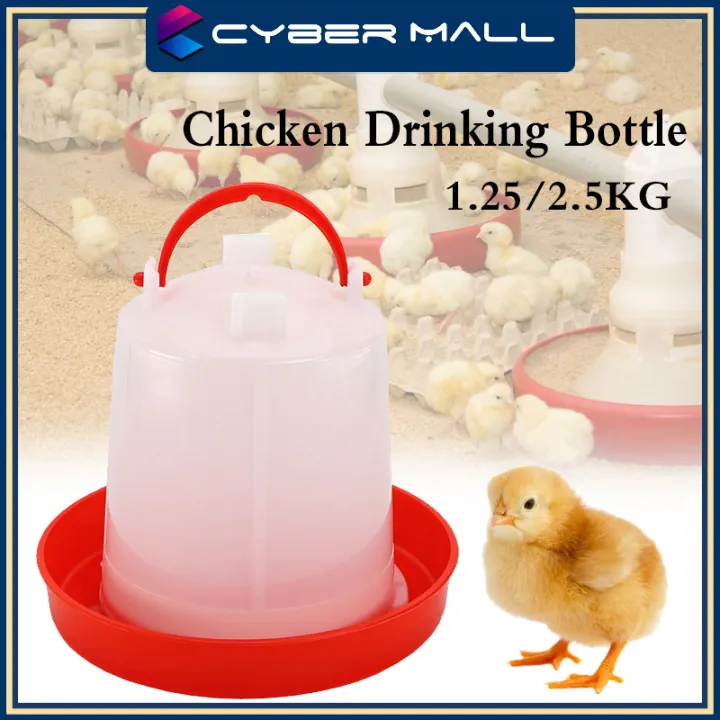 Chicken Food Feeder Home Garden Farm Chick Hen Poultry Drinker Water ...