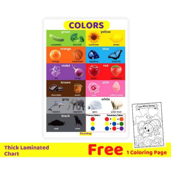 Laminated Chart of Colors with FREE Coloring Page | Educational Poster ...