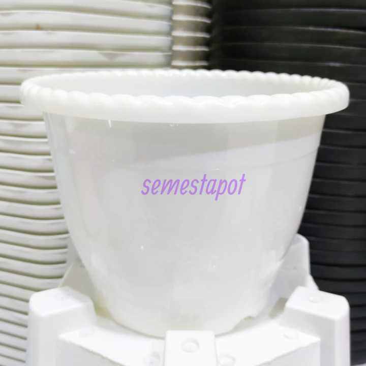 Pot Plastik Bunga Tanaman Alaska 20 | Lazada Indonesia