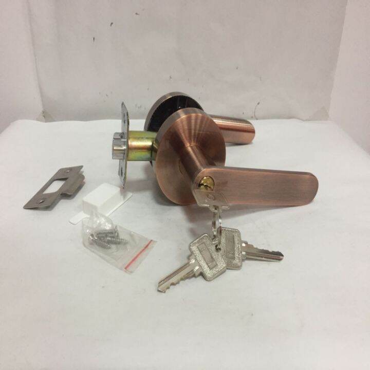 Three pole hold hands locked hotel room door locks the bathroom door ...