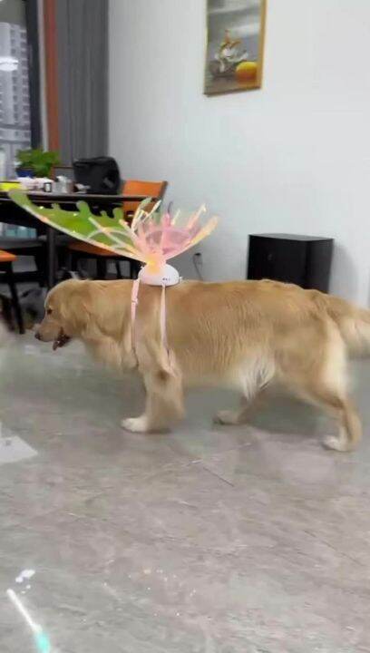 Electric Elf Fairy Wings With Music Lights Kid Happy Birthday Party ...