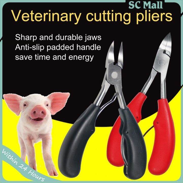High-quality Piglet Teeth Cutter Steel Pig Tooth Nipper Pet Cutting ...