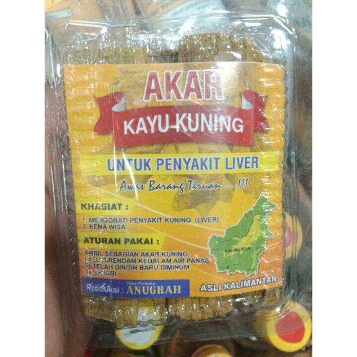 Akar Kuning Kayu Kuning Khas Suku Dayak Asli Kalimantan Obat Herbal ...