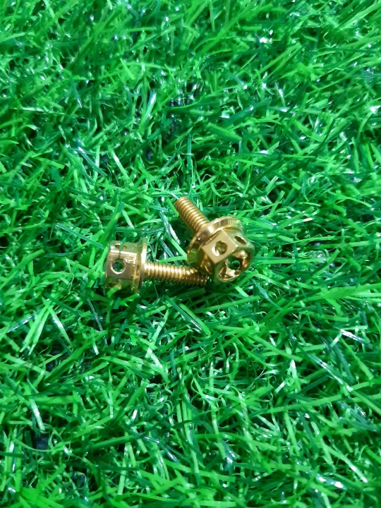 Heng Fluid Tank Bolts (2pcs) | Lazada PH