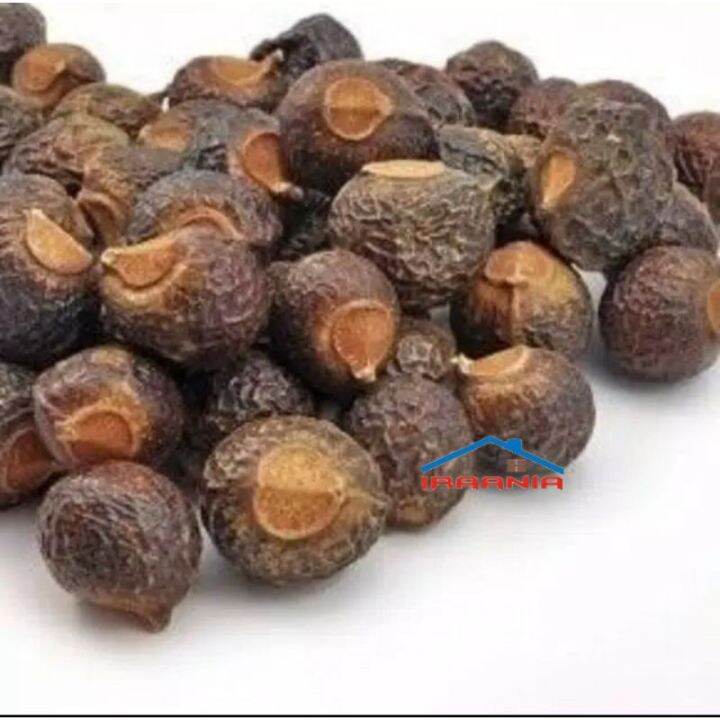 Lerak / klerak / soap nut / sabun clodi / sabun batik 100 g | Lazada ...