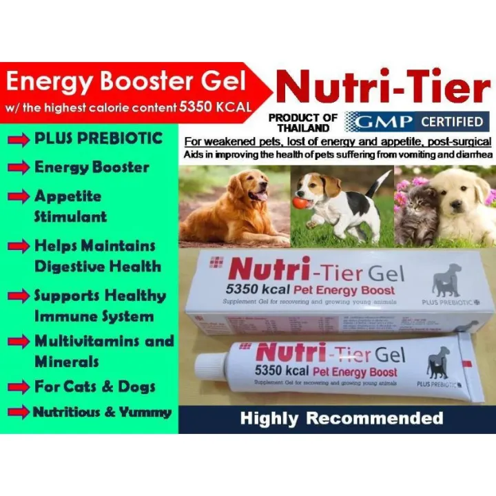 NUTRI TIER GEL PET ENERGY BOOST PLUS PREBIOTIC for DOG CAT 30g ...
