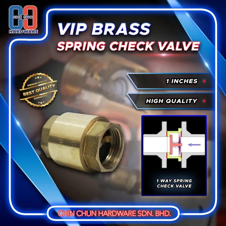 1 INCH | 25mm | VIP BRASS SPRING CHECK VALVE | BYPASS VALVE | HEAVY DUTY VERTICAL SPRING CHECK ...