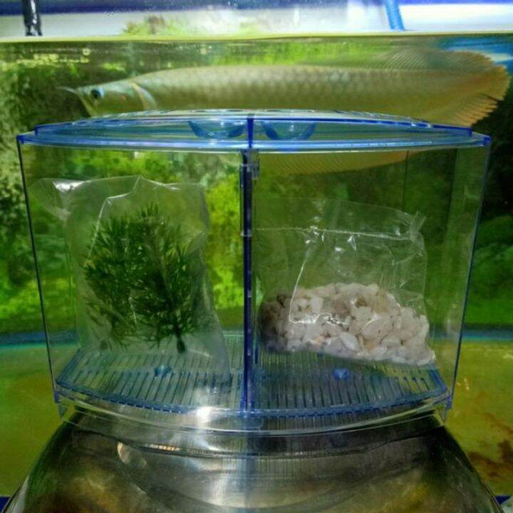BETTA HOUSE DOUBLE | Lazada PH