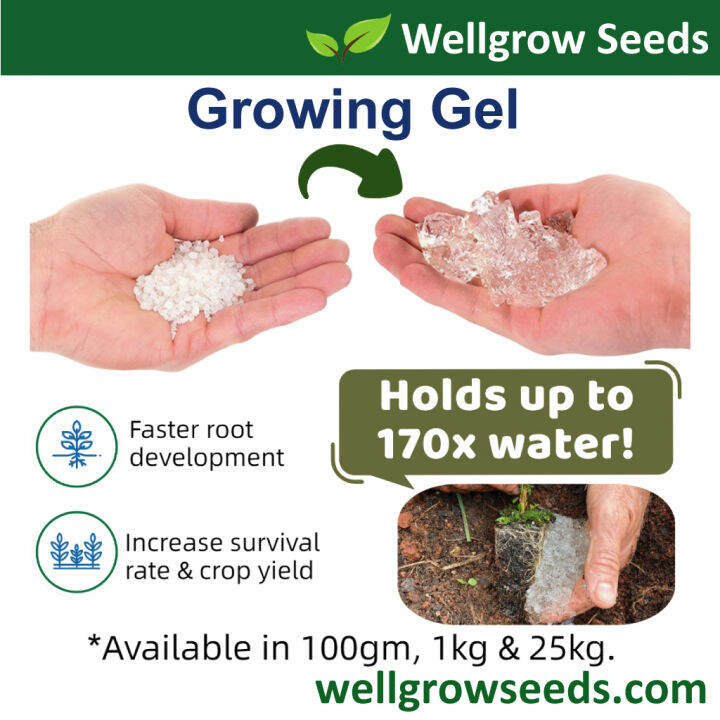 1kg Plant Growing Gel/ Gel Penyimpanan Air (Super Absorbent Polymer SAP ...