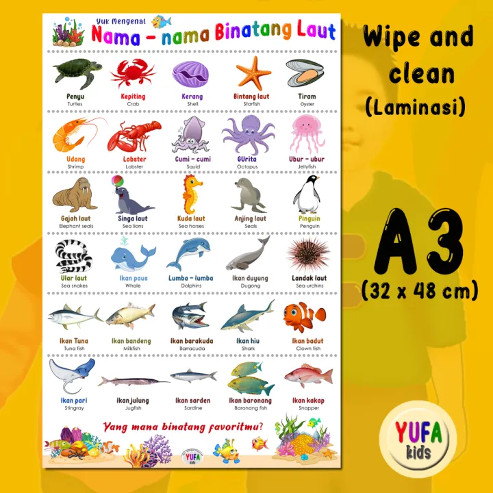 041 Poster binatang laut - Poster Edukasi Anak - Poster belajar anak ...