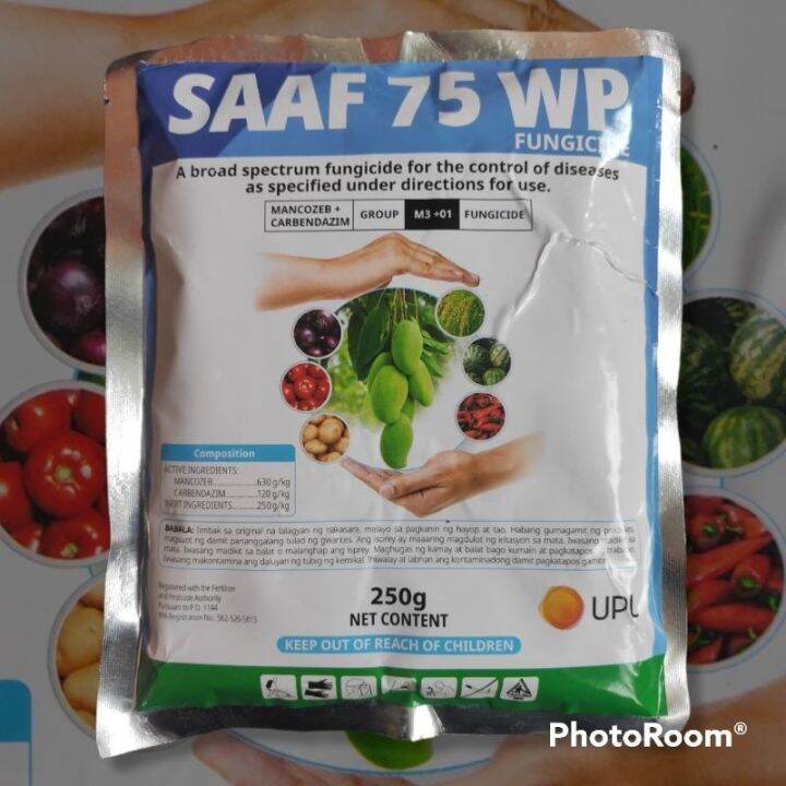 SAAF 75 WP Fungicide 250g | Lazada PH