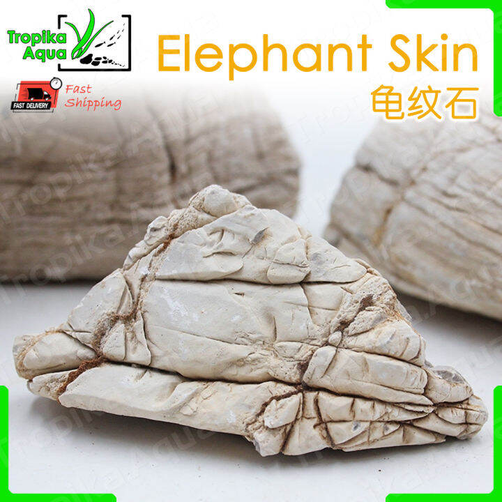 Elephant Skin Rock (Moire Stone) 龟纹石 象皮石 - aquarium aquascape ...