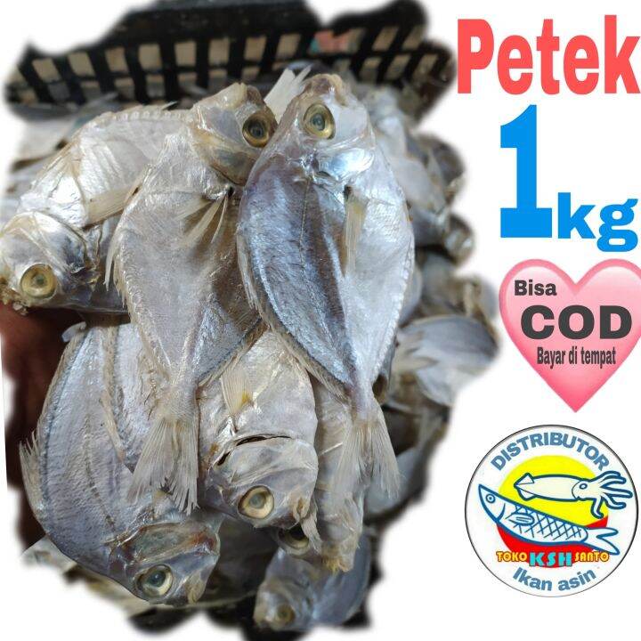 ikan asin petek besar-1kg | Lazada Indonesia