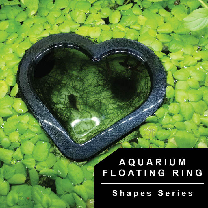 🇸🇬 Fish Tank Floating Ring (Shape Series) - 🐠 3D Printed Aquarium ...