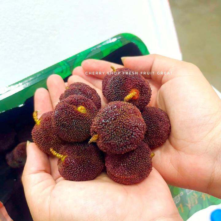 หยางเหมย Yamberry | Lazada.co.th