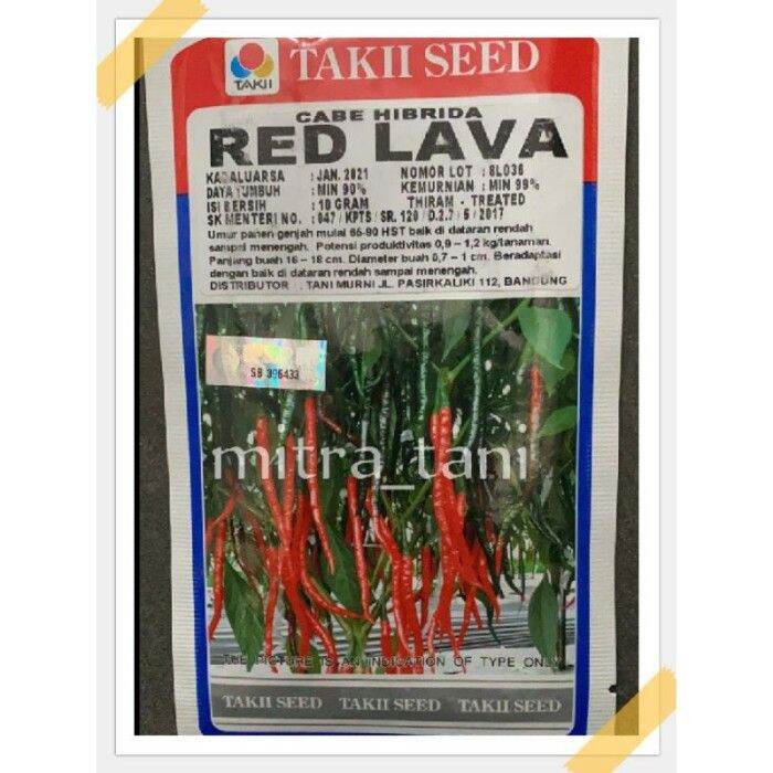benih cabai besar hibrida RED LAVA 10 gram dari TAKII SEED | Lazada ...