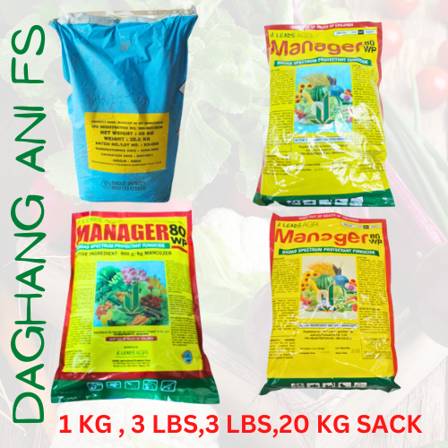 MANAGER 80WP FUNGICIDE | Lazada PH