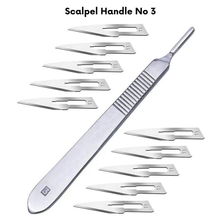 Stainless Steel Scalpel Handle No 3 with 10 Blades #11 Surgical Dental ...
