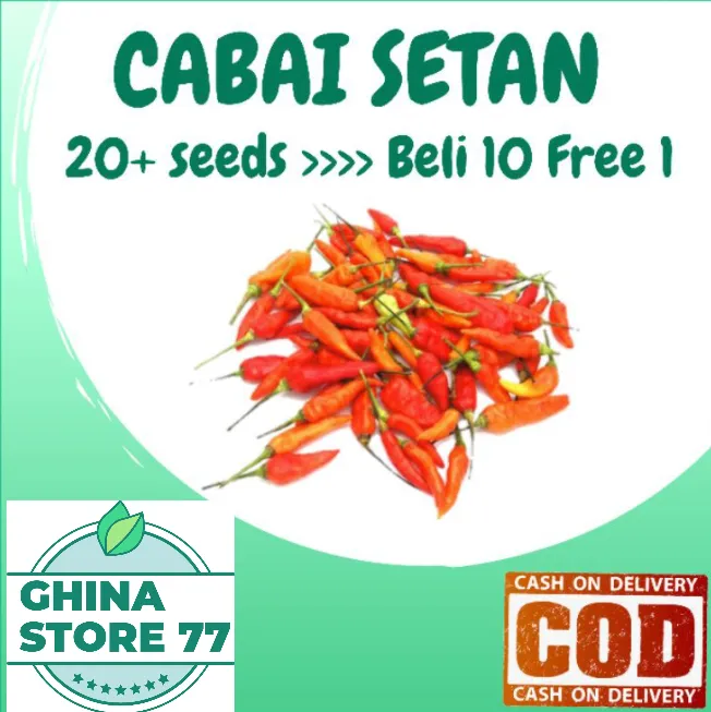 CABE RAWIT SETAN 20 biji / bibit Cabe Rawit Unggul / benih CABAI RAWIT ...