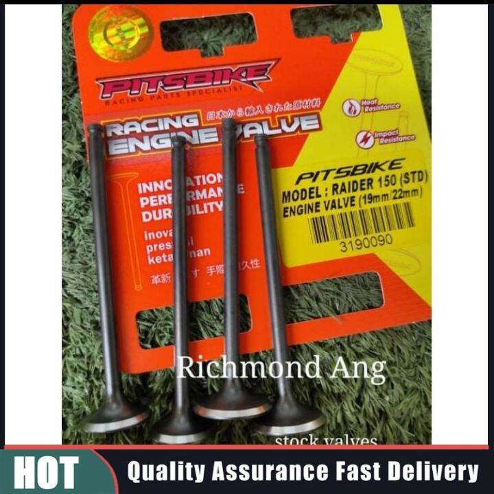 pitsbike 19mm 22mm 21mm stock standard std engine valves valve set ...