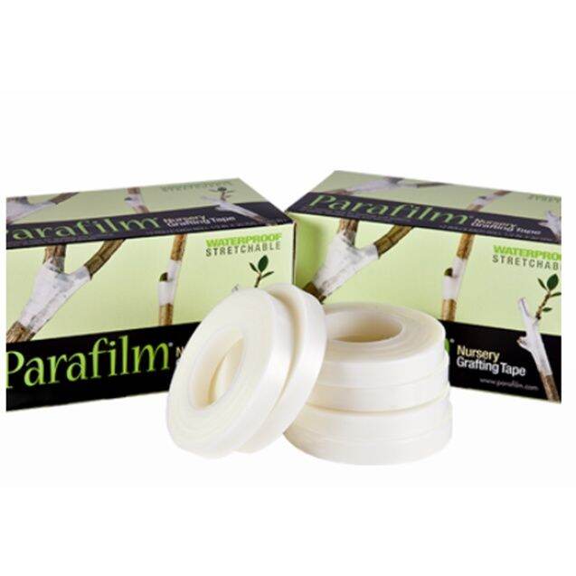 Parafilm Nursery Grafting Tape (1 Roll) 12 inch | Lazada PH