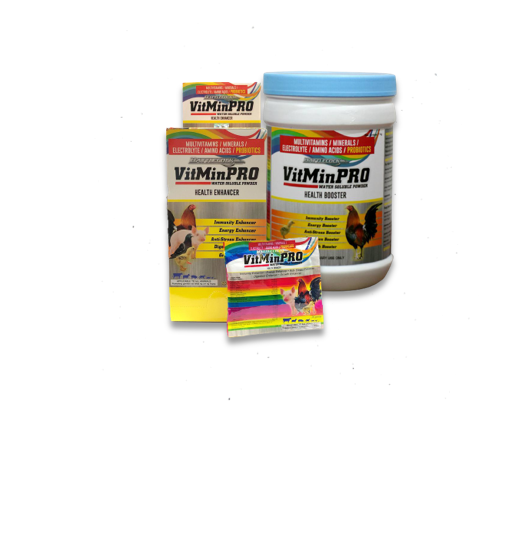 VitminPro MULTIVITAMINS + MINERALS + ELECTROLYTES + AMINO ACID ...