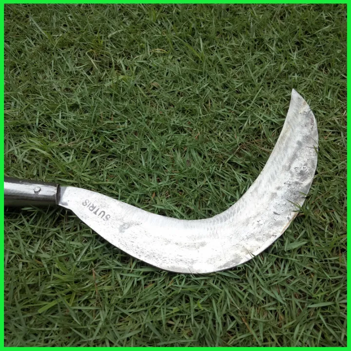 arit / sabit /blencong kecil baja / alat pembersih kebun /rumput /padi ...