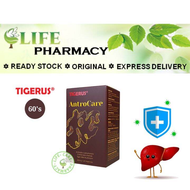 (Ready Stock) TIGERUS AntroCare Tiger Milk Mushroom Liver Supplement ...