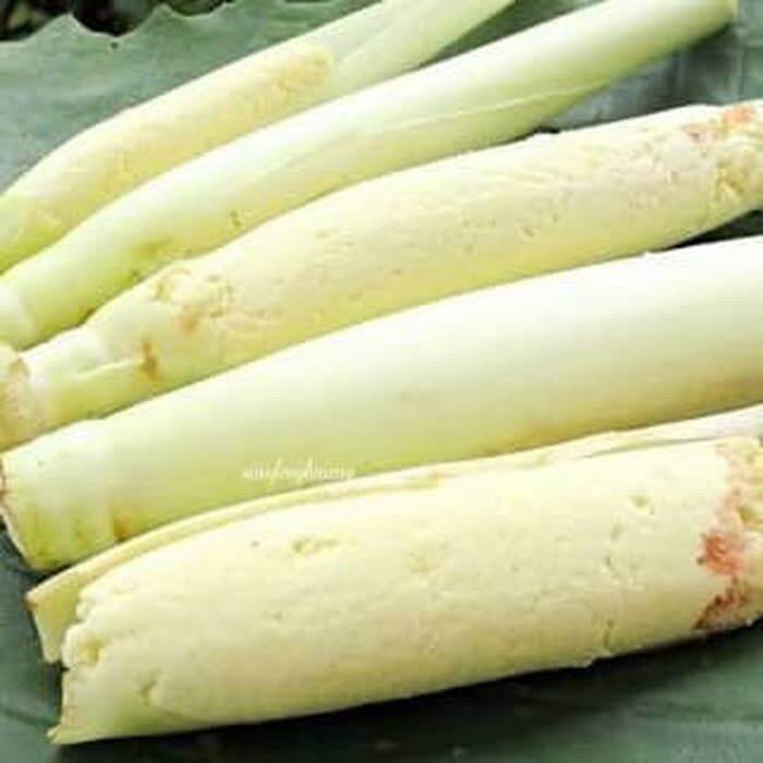 sayur terubuk super/endog tiwu/bunga telur tebu segar/ | Lazada Indonesia