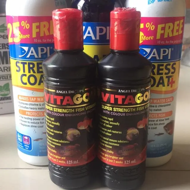 Angel Drops Vita Gold | Lazada PH