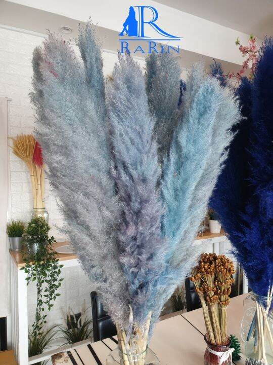 Rarin ดอกเลาย้อม สีฟ้าคราม (10 ก้าน) ขนาด 90 cm. เป็นดอกไม้ธรรมชาติ ดอก ...