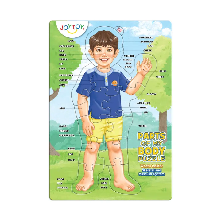 JOYTOY Parts of the Body Puzzle - Skeletal & Muscular System | Lazada PH